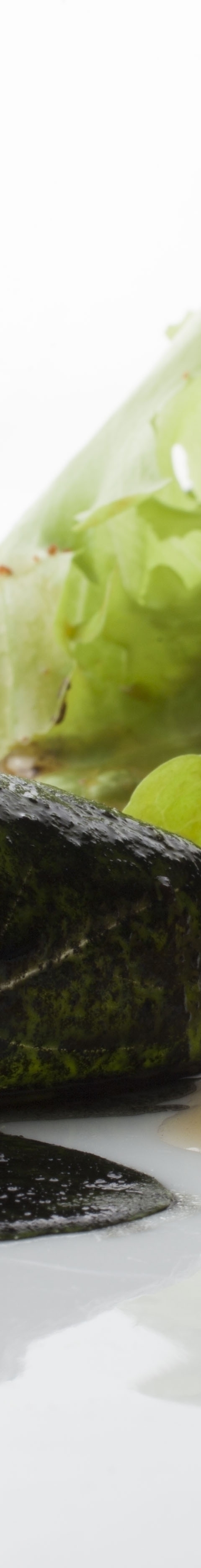 pollo arosto e insalatine - SOFTCOOKER Wi-Food